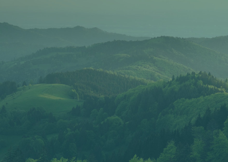 Webinar and Q&A: The quest for permanence: are registry buffer pools ...