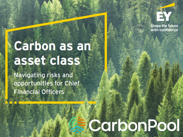 Carbon as an Asset Class: A CFO's Guide to Risk and Value | CarbonPool